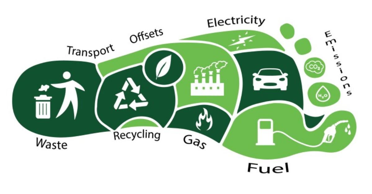 Footprint Là Gì? 5 Cách Giảm Thiểu Tác Động Của Footprint